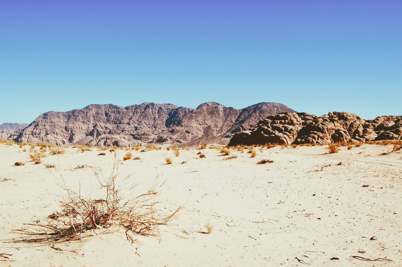 Work with me | Promote your business in Jordan| Living in Jordan as Expat