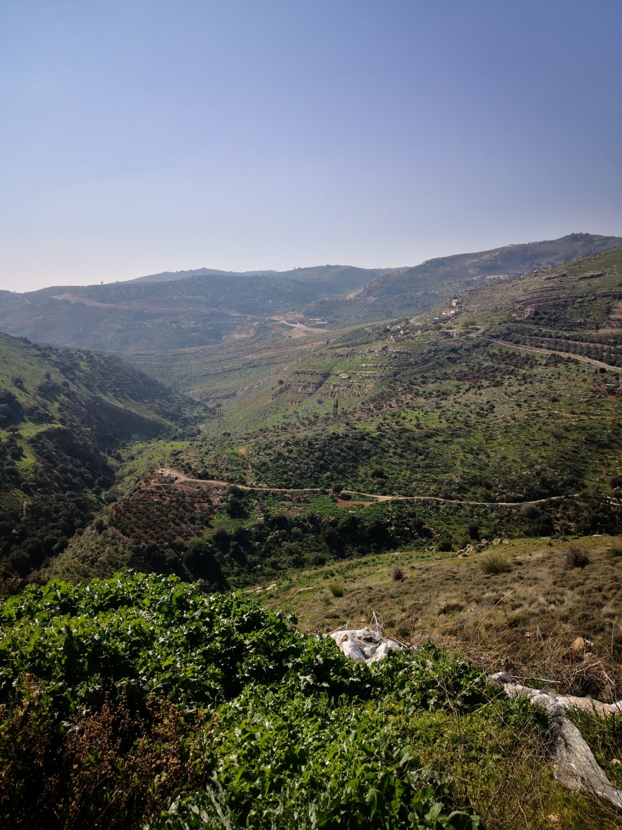 Things to do near Amman - Living in Jordan as Expat